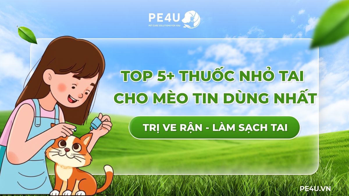 Top 5 thuốc nhỏ tai cho mèo được tin dùng hiện nay - PE4U